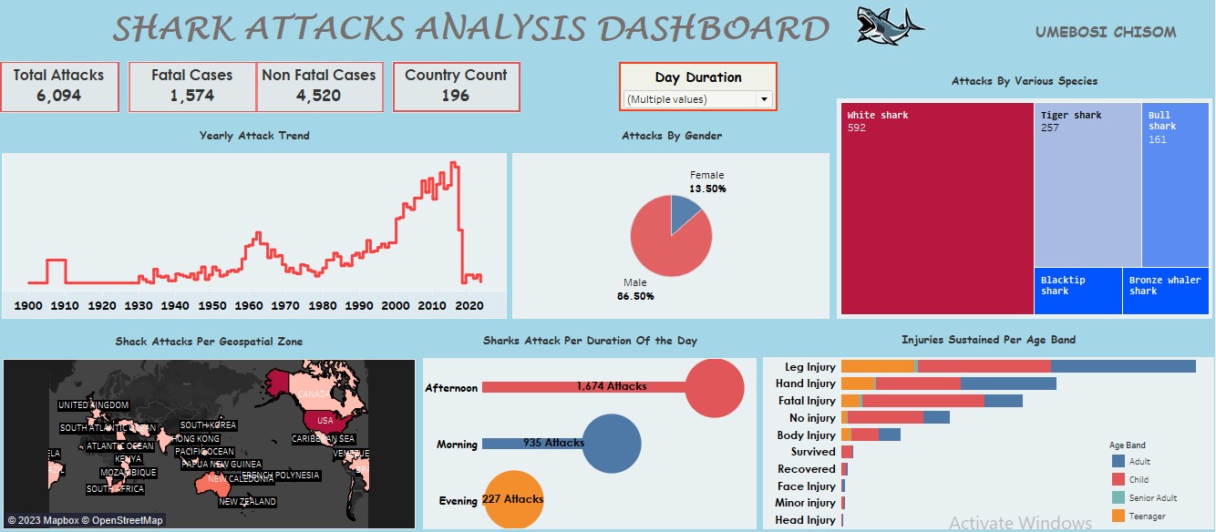 CHISOM UMEBOSI'S PORTFOLIO